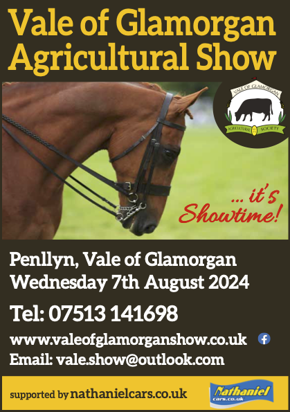 Vale of Glam 2024 horse advert – The Vale of Glamorgan Show